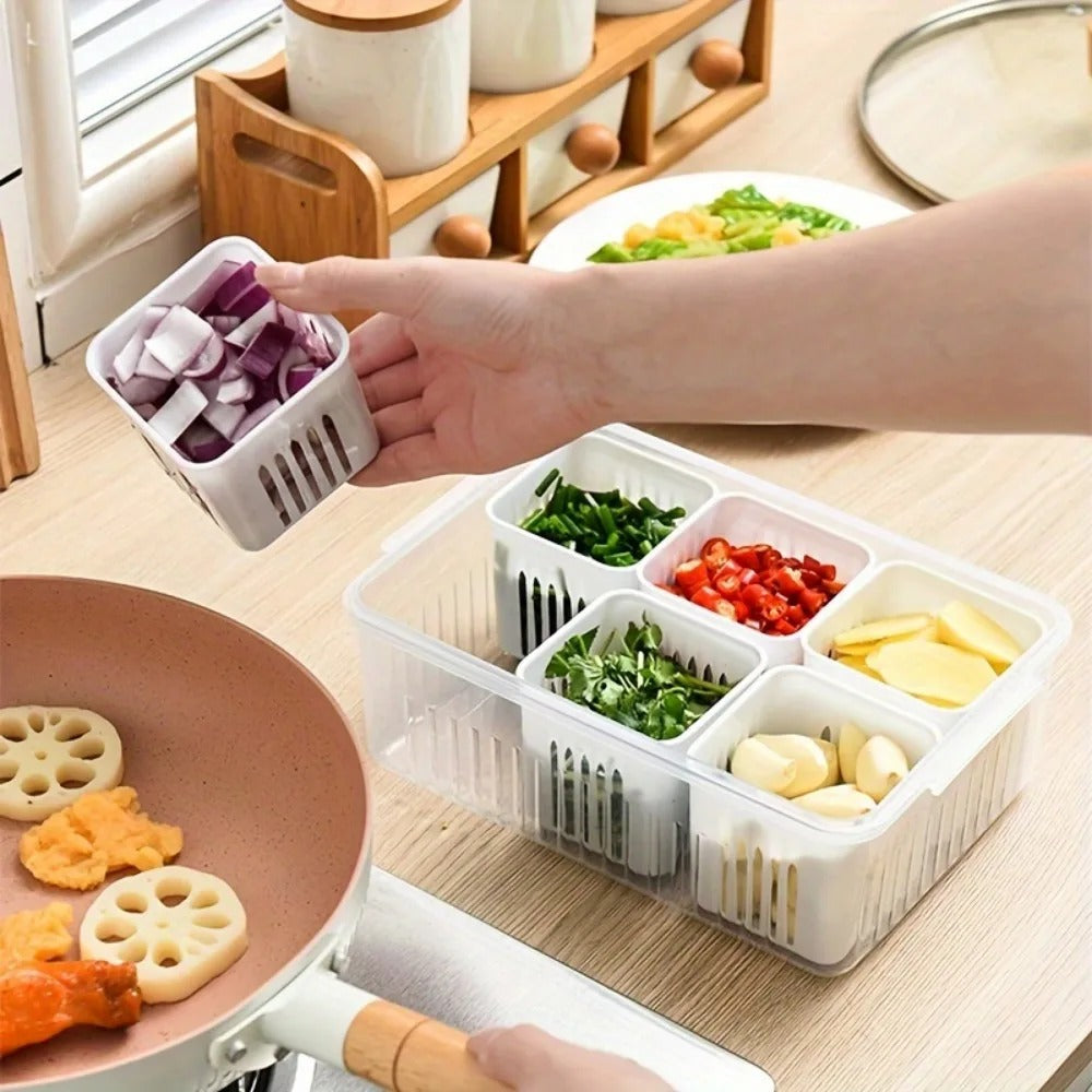 Food Containers with Detachable Grid Boxes – Activ Life